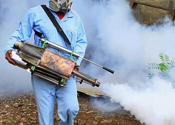 3 Best Pest Control Services in New Delhi - Expert Recommendations