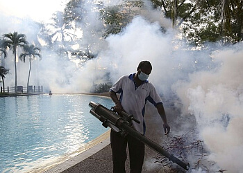 3 Best Pest Control Services in New Delhi - Expert Recommendations