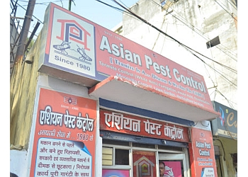 3 Best Pest Control Services in Varanasi - Expert Recommendations