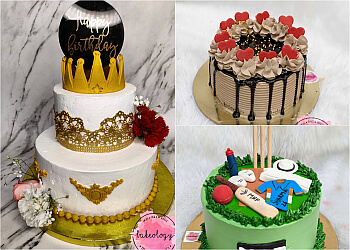 3 Best Cake Shops in Gwalior, MP - ThreeBestRated