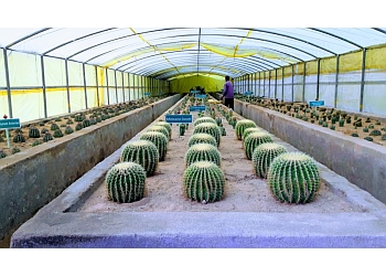 3 Best Tourist Attractions in Ranchi - Expert Recommendations