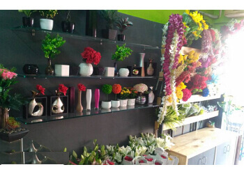 3 Best Flower Shops in Kota - Expert Recommendations
