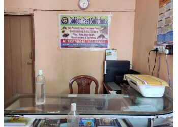 3 Best Pest Control Services in Kolkata - Expert Recommendations