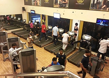 3 Best Gym in Bhilai - Expert Recommendations
