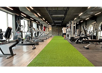 3 Best Gym in Gurugram - Expert Recommendations