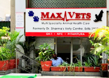 3 Best Veterinary Hospitals in New Delhi - Expert Recommendations