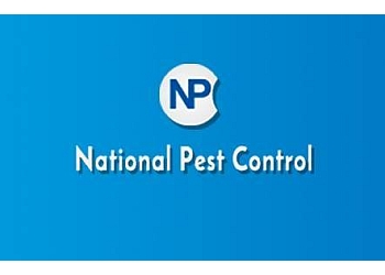 3 Best Pest Control Services in Mumbai - ThreeBestRated