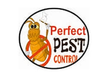 3 Best Pest Control Services in Jabalpur - Expert Recommendations