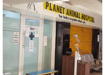 3 Best Veterinary Hospitals in Thane - Expert Recommendations