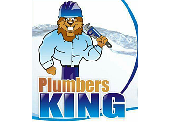 3 Best Plumbing Services in Indore - Expert Recommendations