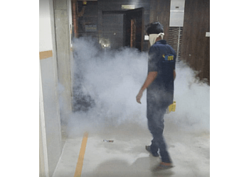3 Best Pest Control Services in Vasai Virar - Expert Recommendations