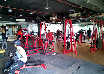 3 Best Gym in Indore - Expert Recommendations