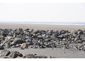 3 Best Tourist Attractions in Surat - Expert Recommendations